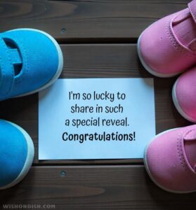 20+ Sweet Gender Reveal Card Messages | WishonDish